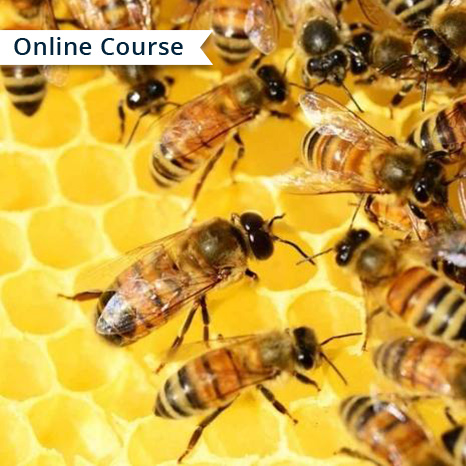 Explore teacher resources now! | Texas A&M AgriLife Learn