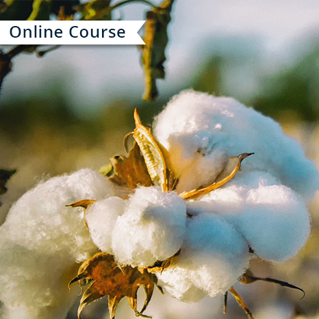 Courses | Texas A&M AgriLife Learn