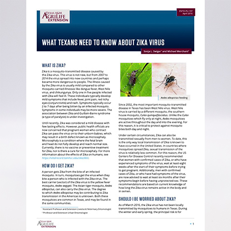 What Texans Need to Know About Zika Virus | Publications | AgriLife Learn