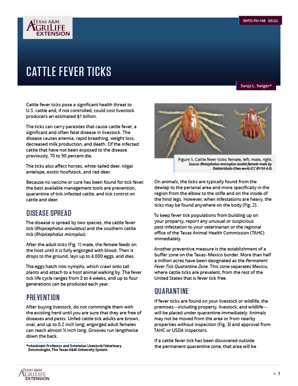Cattle Fever Ticks | Publications | AgriLife Learn