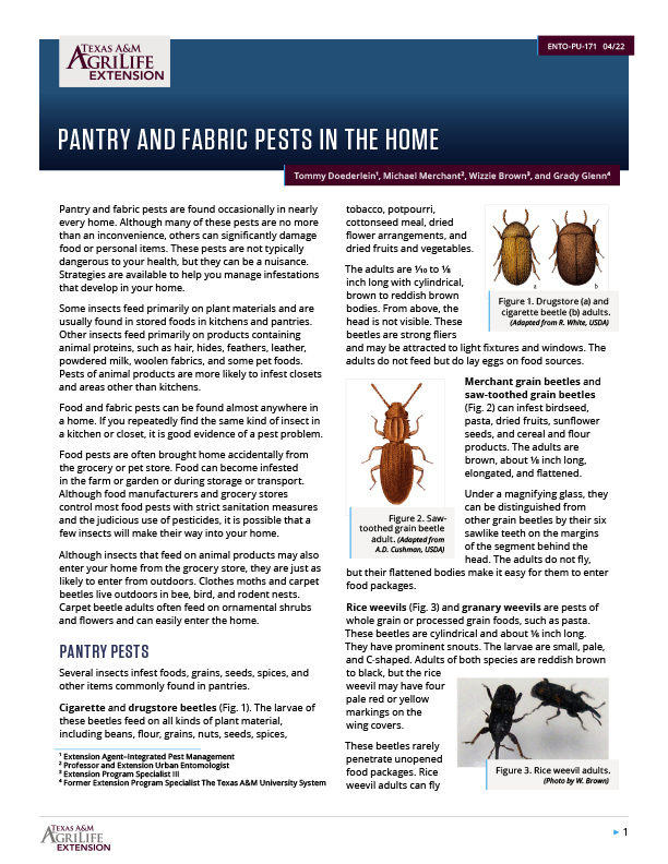 Pantry and Fabric Pests in the Home | Publications | AgriLife Learn