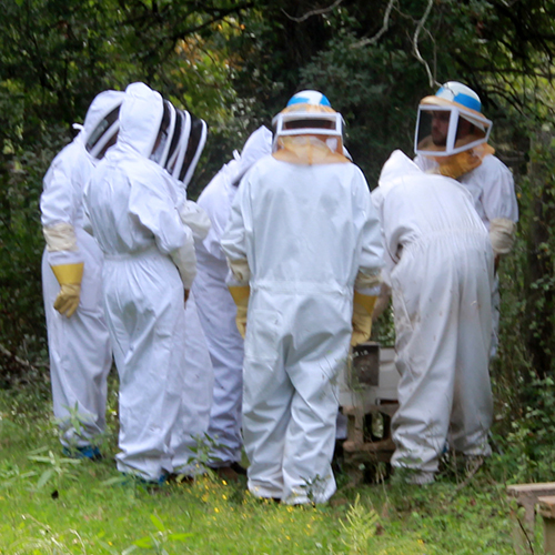 Beekeeping Equipment — Protective Clothing | Publications | AgriLife Learn