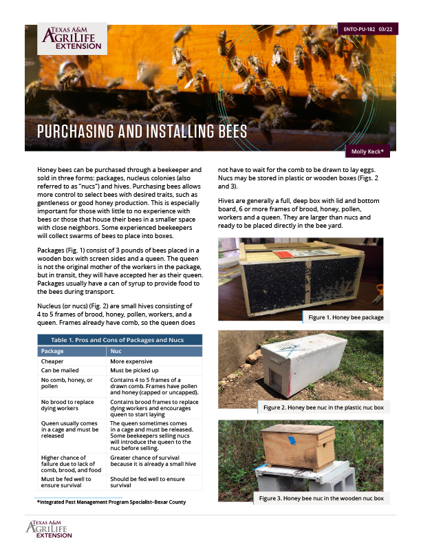 Purchasing and Installing Bees | Publications | AgriLife Learn