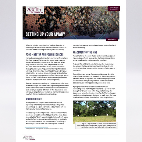 Setting up your Apiary | Publications | AgriLife Learn