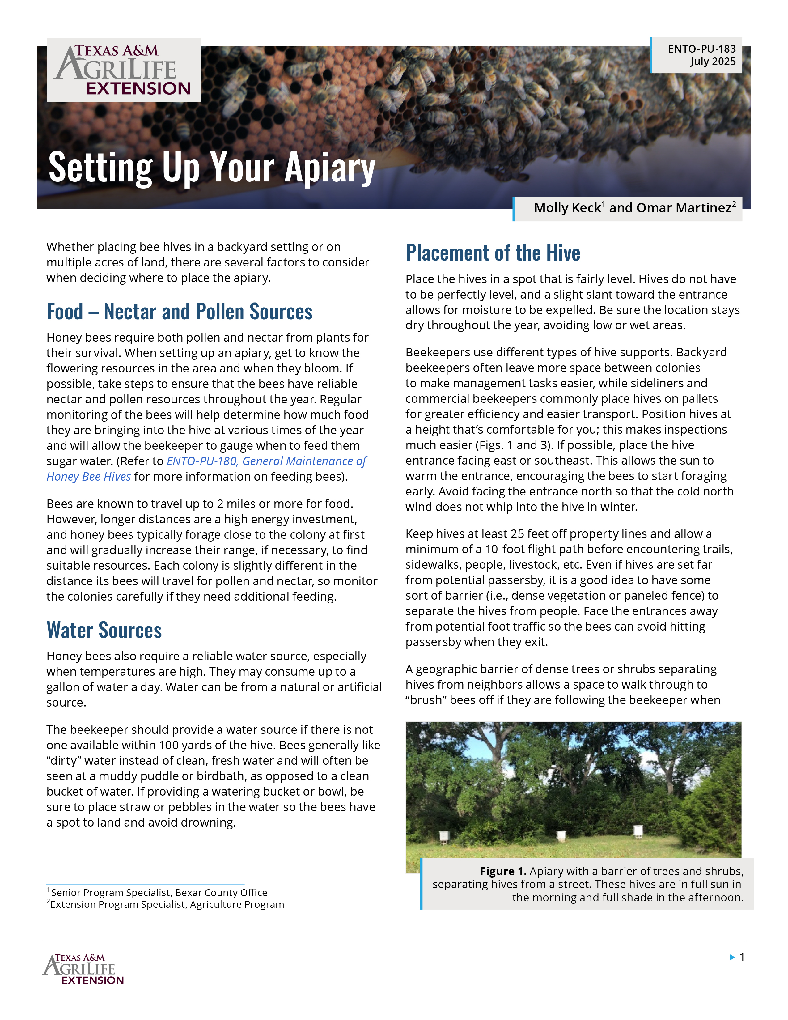 Setting up your apiary publication image. Click to expand image