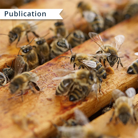 Taste 360 | Texas A&M AgriLife Learn