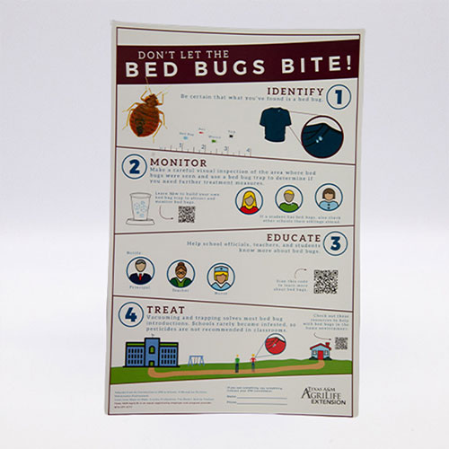 Bedbugs in School Poster | Publications | AgriLife Learn