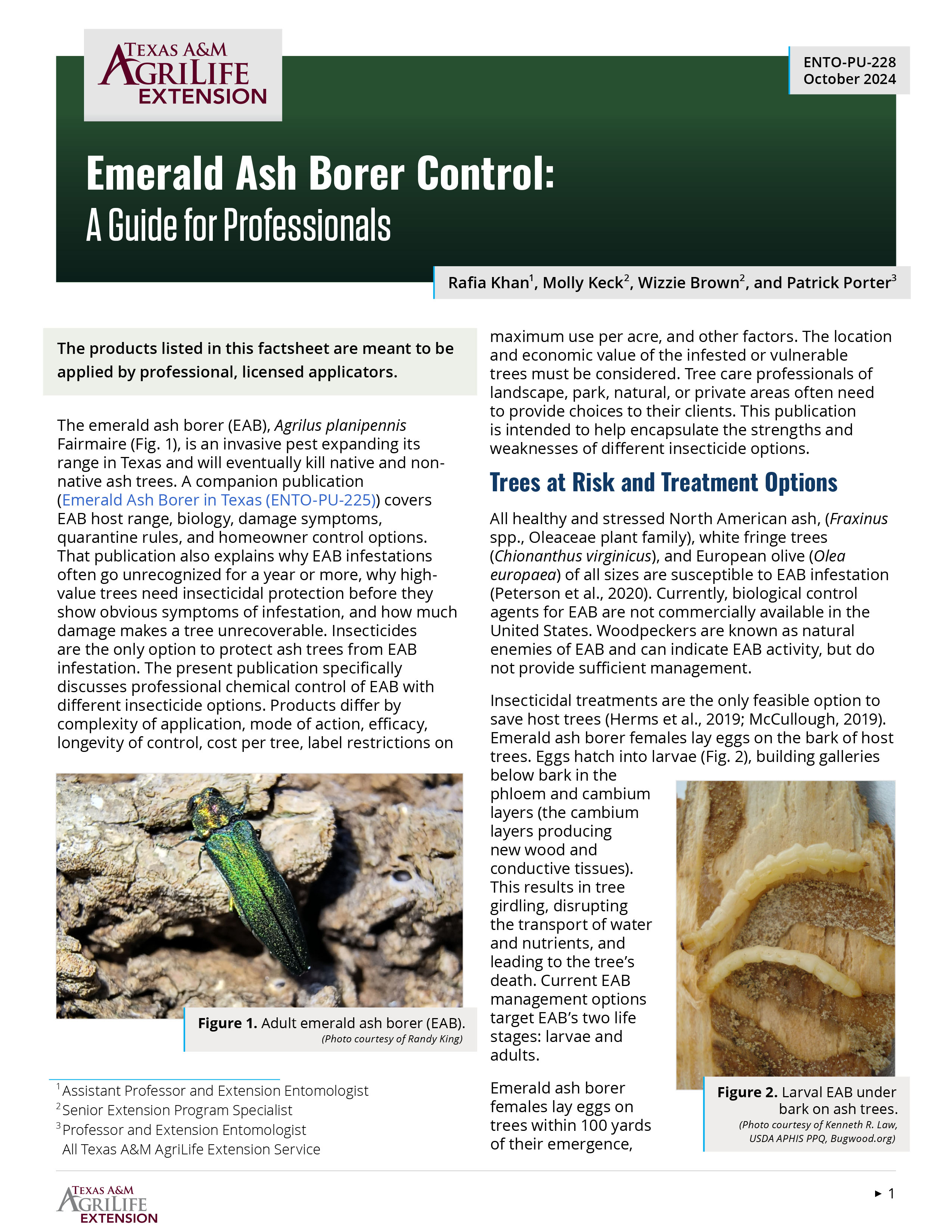 Emerald Ash Borer Control: A Guide for Professionals | Publications ...