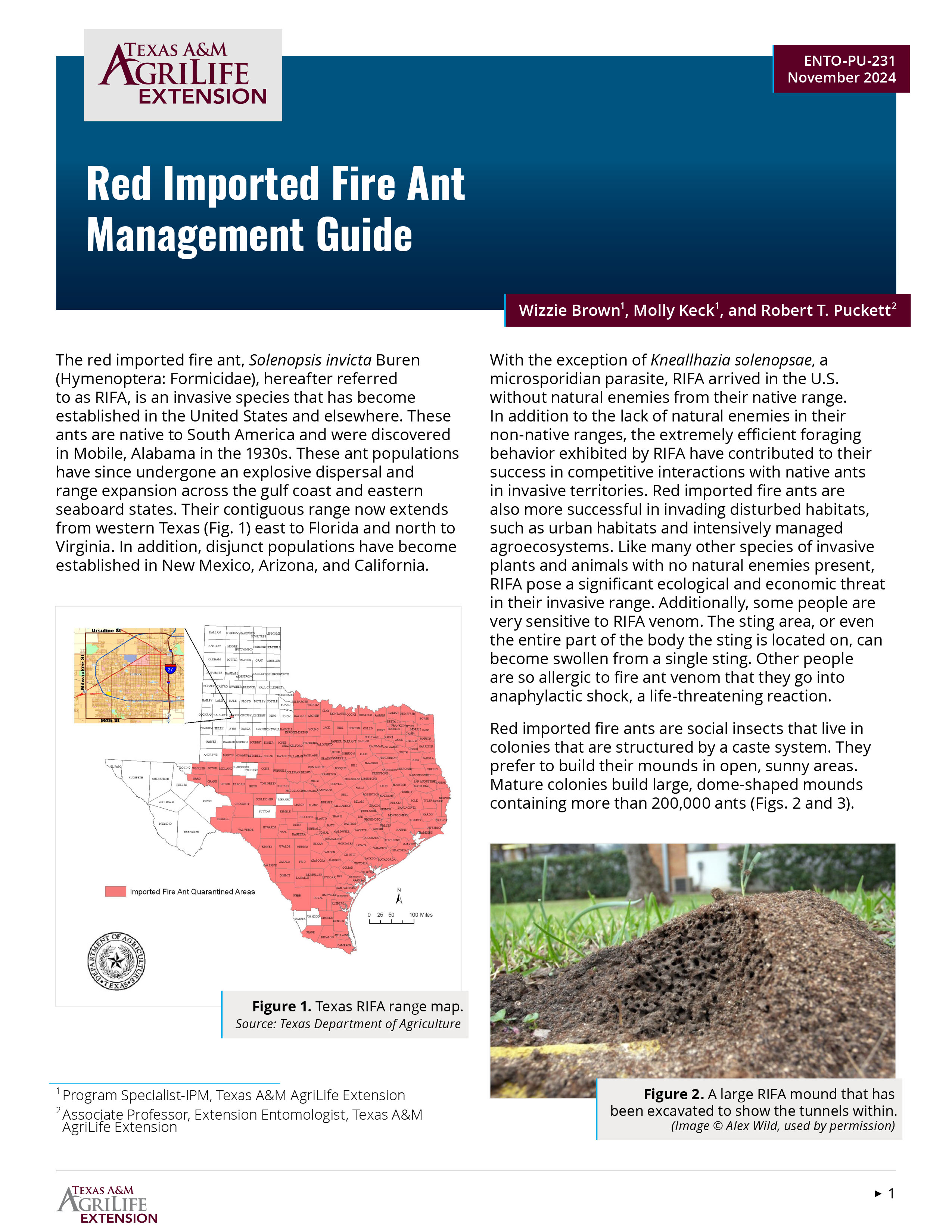 Red Imported Fire Ant Management Guide | Publications | AgriLife Learn