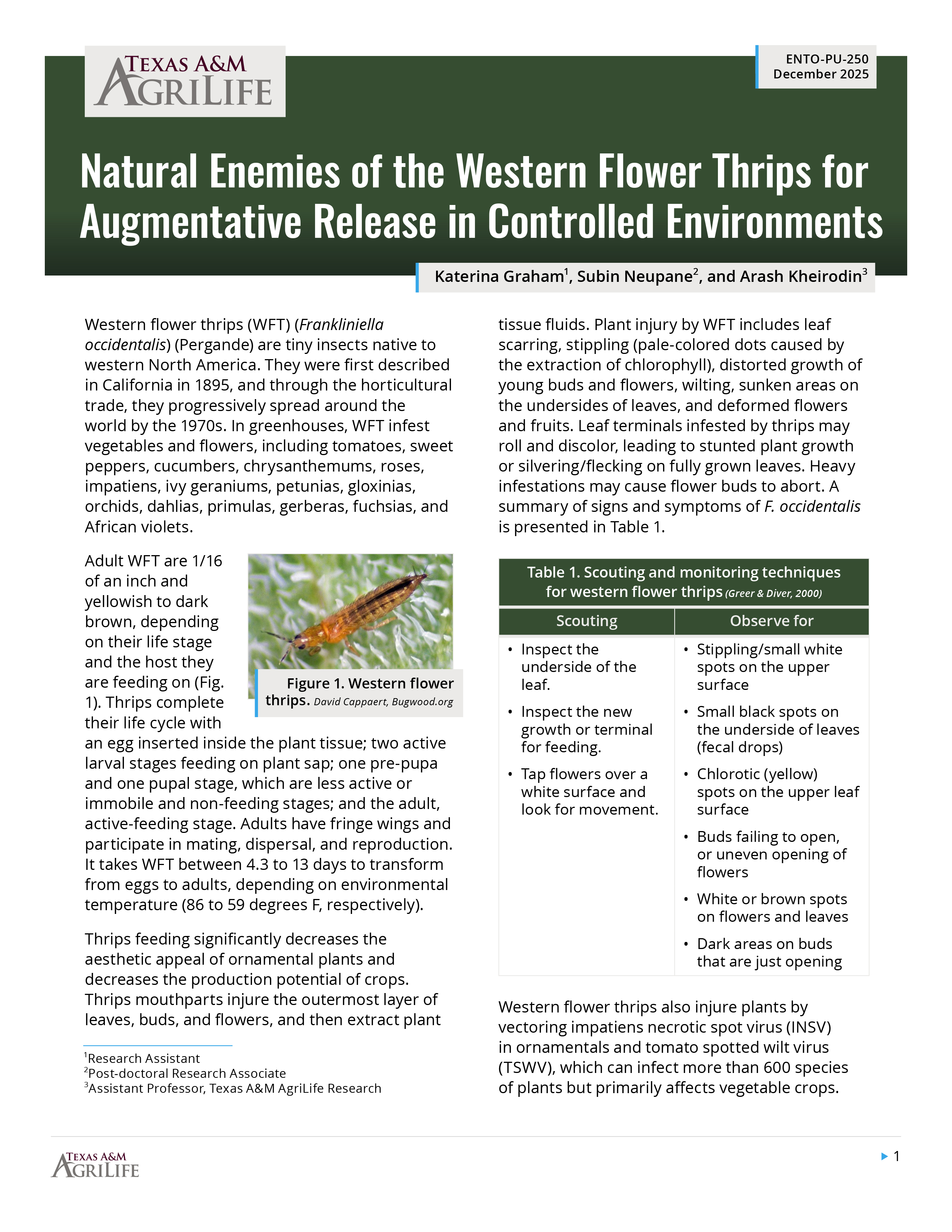 Natural Enemies of the Western Flower Thrips for Augmentative Release ...