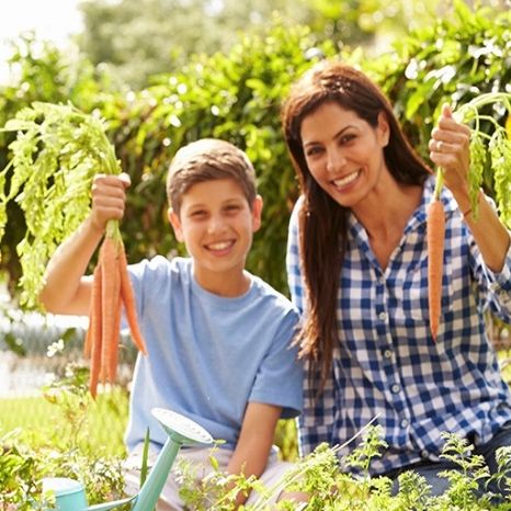 Texas Healthy Building Blocks | Texas A&M AgriLife Learn