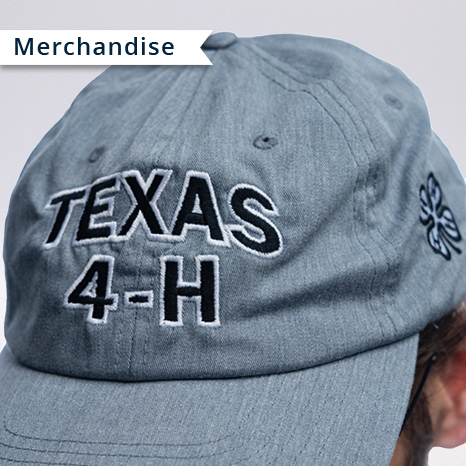 4-H & Youth Development | Texas A&M AgriLife Learn