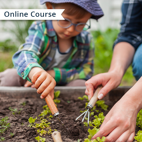 Courses | Texas A&M AgriLife Learn