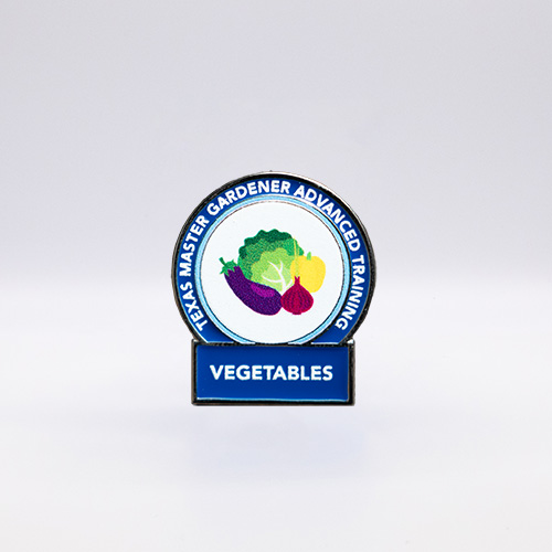 Master Gardener Advanced Training Lapel Pin - Vegetables | Merchandise ...