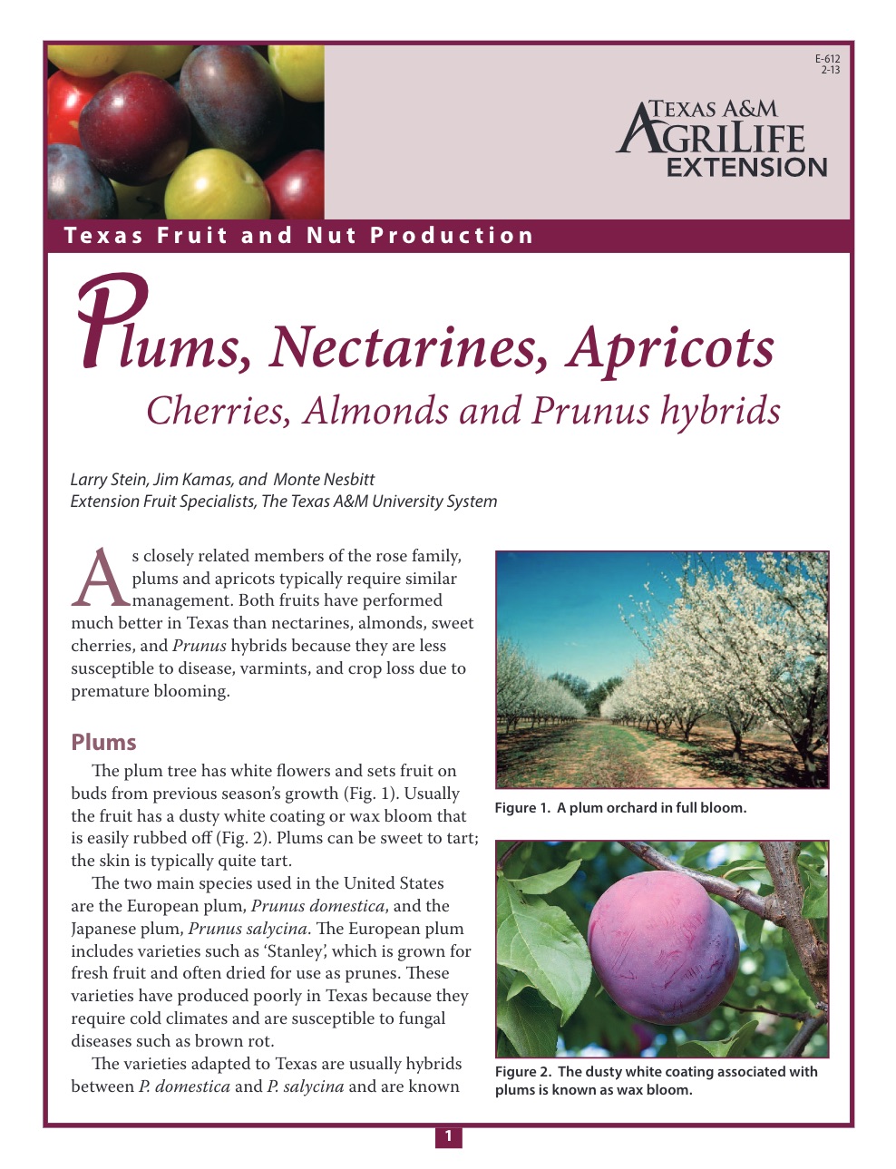 Texas Fruit & Nut Production: Plums, Nectarines, Apricots, Cherries ...