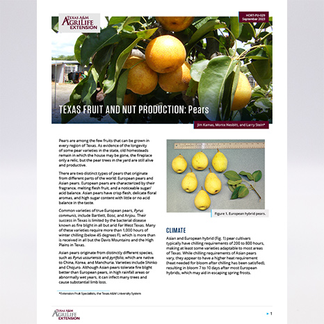 Texas Fruit and Nut Production: Pears | Publications | AgriLife Learn