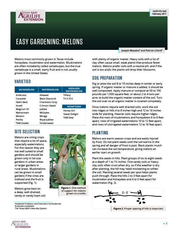 Easy Gardening: Melons | Publications | AgriLife Learn