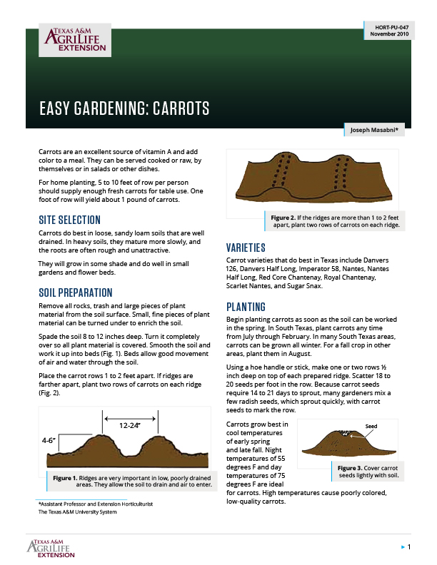 Easy Gardening: Carrots | Publications | AgriLife Learn