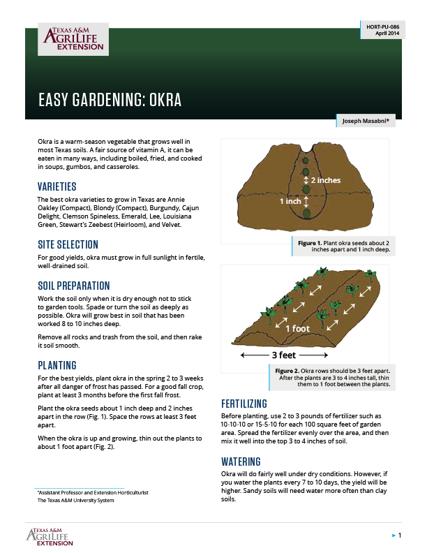 Easy Gardening: Okra | Publications | AgriLife Learn