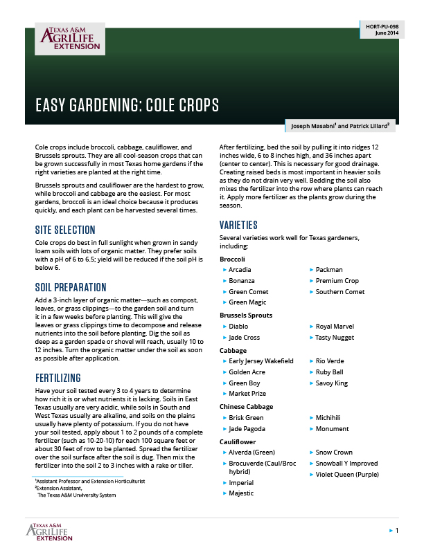 Easy Gardening: Cole Crops | Publications | AgriLife Learn