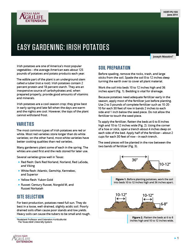 Easy Gardening: Irish Potato | Publications | AgriLife Learn