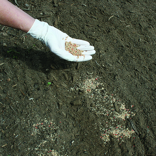 Easy Gardening: Fertilizing | Publications | AgriLife Learn