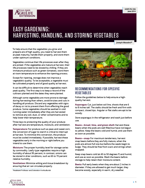 Easy Gardening: Harvesting, Handling, and Storing Vegetables ...