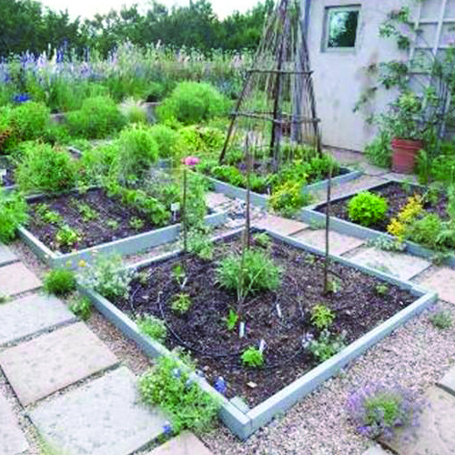 Easy Gardening: Planning A Garden | Publications | AgriLife Learn