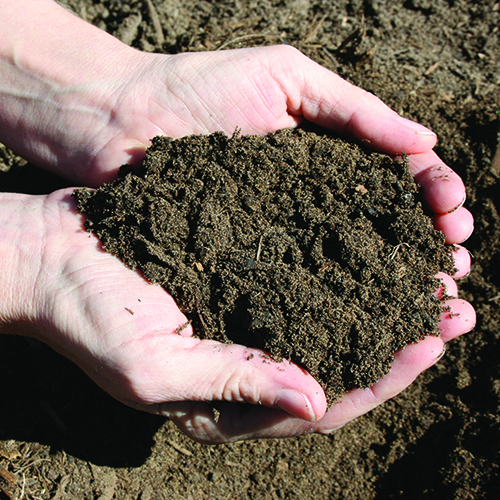 Easy Gardening: Soil Preparation | Publications | AgriLife Learn