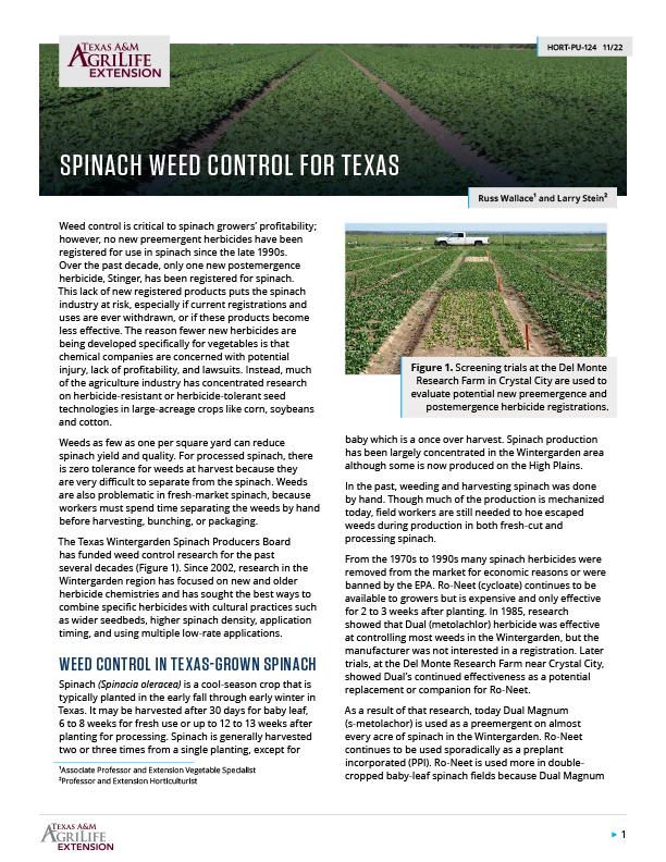 Spinach Weed Control for Texas | Publications | AgriLife Learn