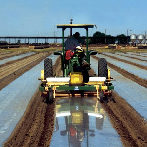 Soil Solarization | Publications | AgriLife Learn