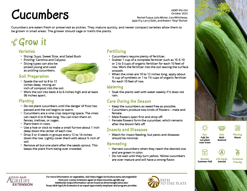 Path to the Plate: Cucumber | Publications | AgriLife Learn