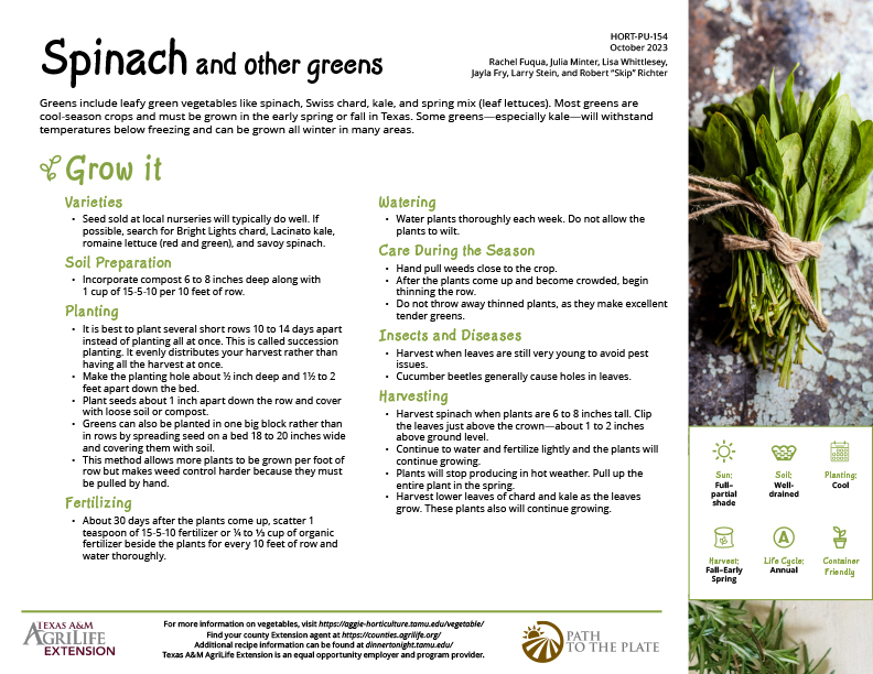 Path to the Plate: Spinach | Publications | AgriLife Learn