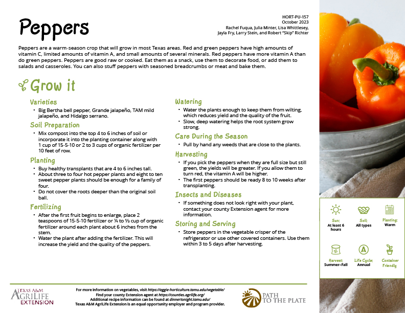 Path to the Plate: Peppers | Publications | AgriLife Learn