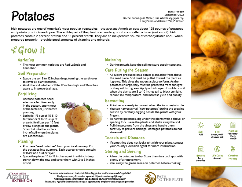 Path to the Plate: Potatoes | Publications | AgriLife Learn