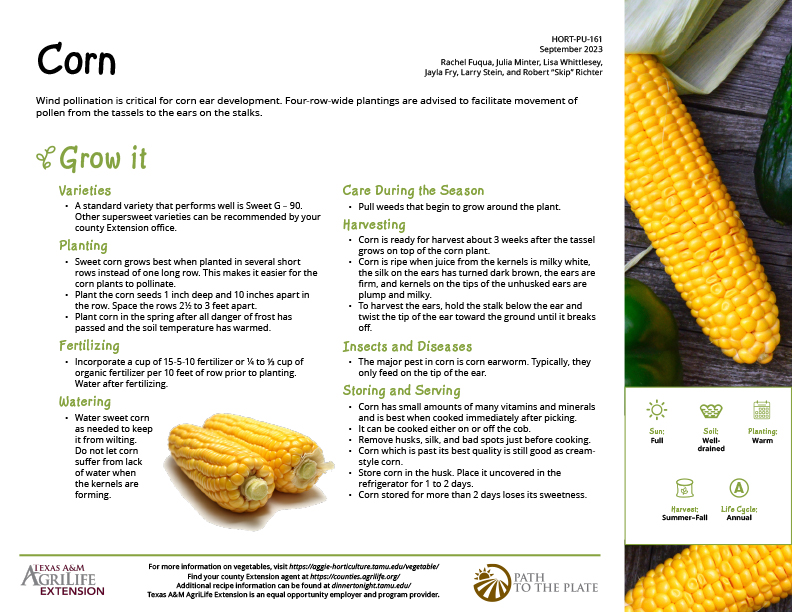 Path to the Plate: Corn | Publications | AgriLife Learn