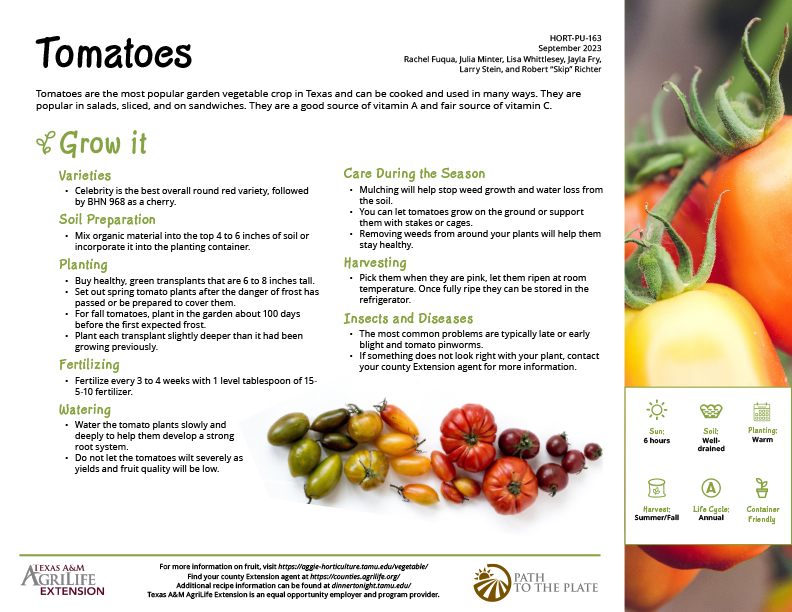 Path to the Plate: Tomatoes | Publications | AgriLife Learn