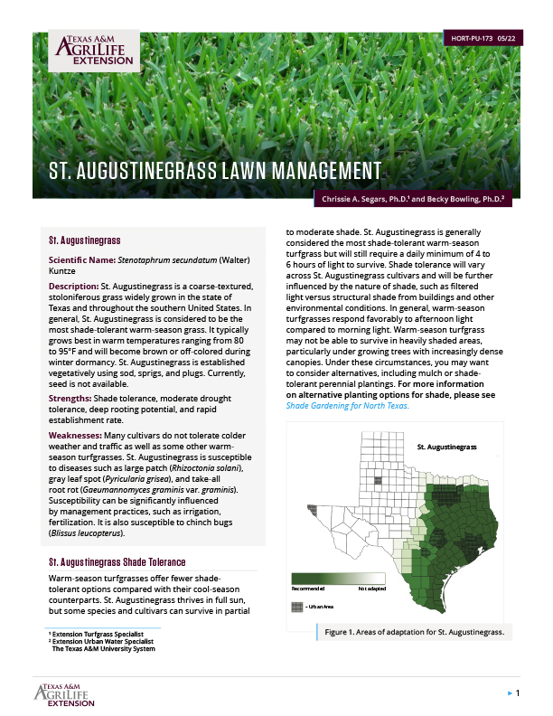 St. Augustinegrass Lawn Management | Publications | AgriLife Learn
