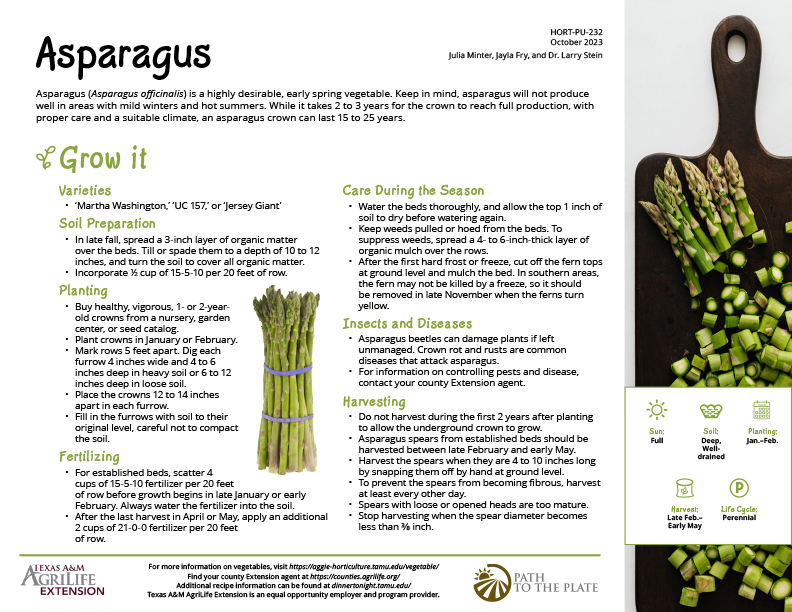 Path to the Plate: Asparagus | Publications | AgriLife Learn