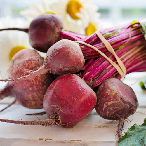 Path to the Plate: Beets | Publications | AgriLife Learn