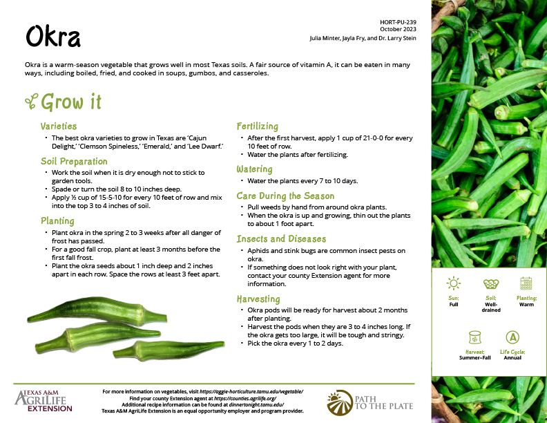 Path to the Plate: Okra | Publications | AgriLife Learn