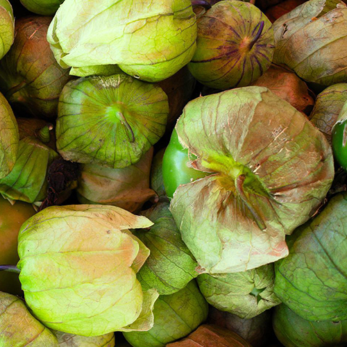 Path to the Plate: Tomatillos | Publications | AgriLife Learn