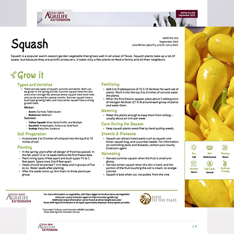 Path to the Plate: Squash | Publications | AgriLife Learn