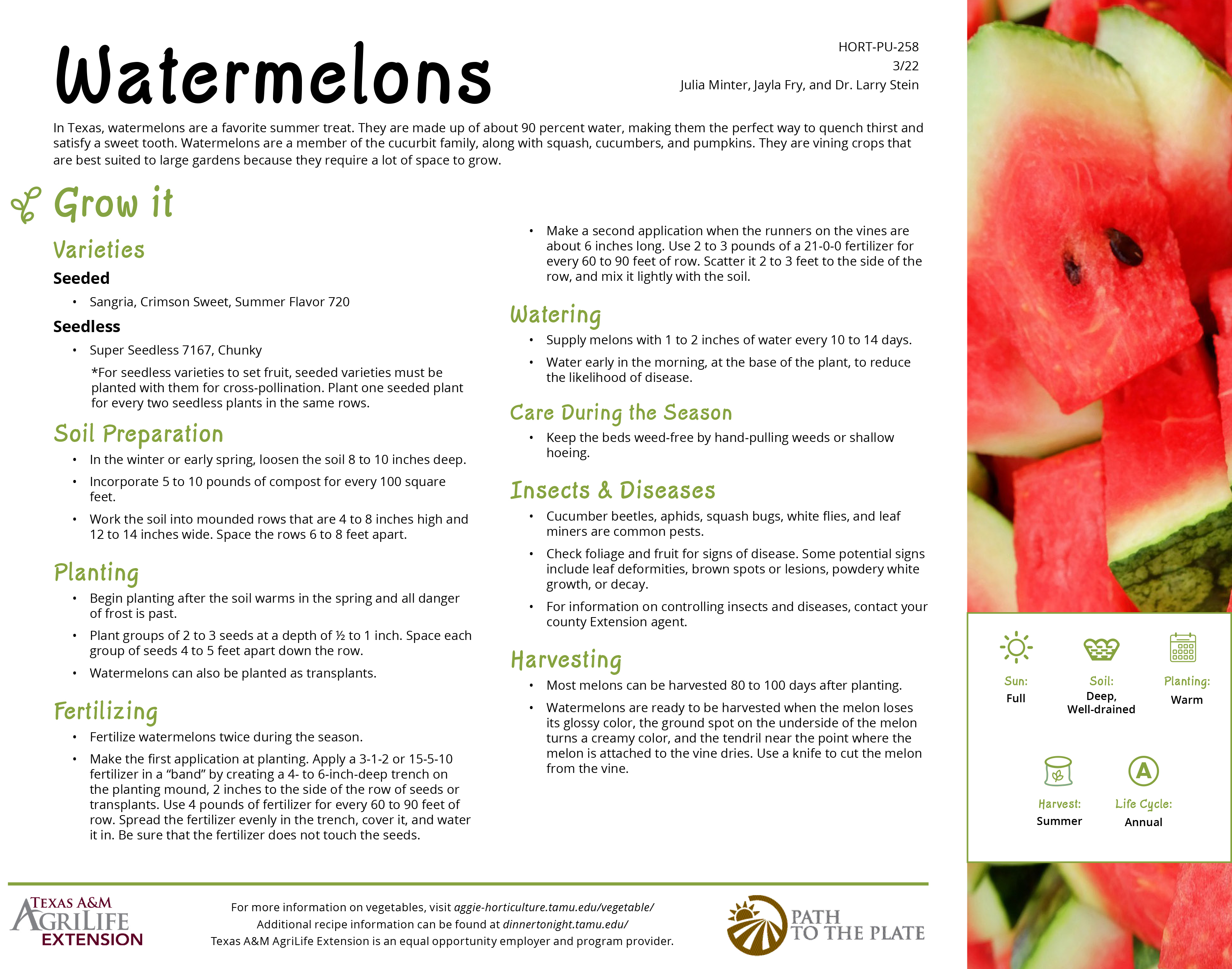 Path to the Plate: Watermelons | Publications | AgriLife Learn