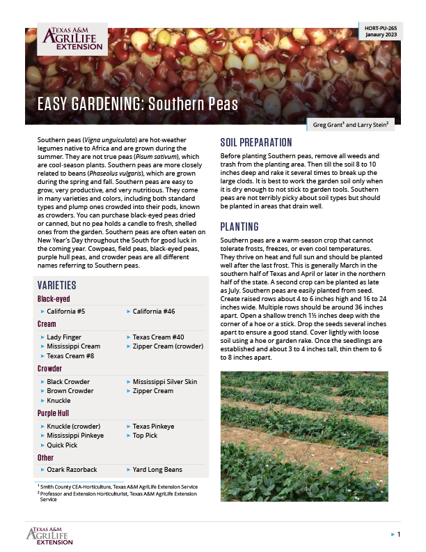Easy Gardening: Southern Peas | Publications | AgriLife Learn