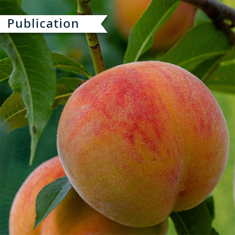 Featured Home Page | Texas A&M AgriLife Learn