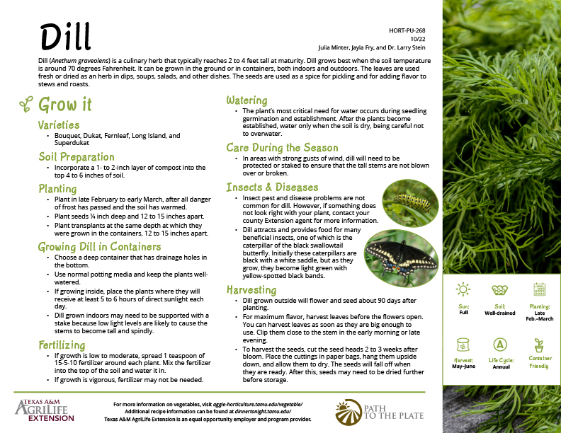 Path to the Plate: Dill | Publications | AgriLife Learn