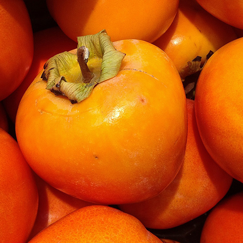 Path to the Plate: Persimmons | Publications | AgriLife Learn