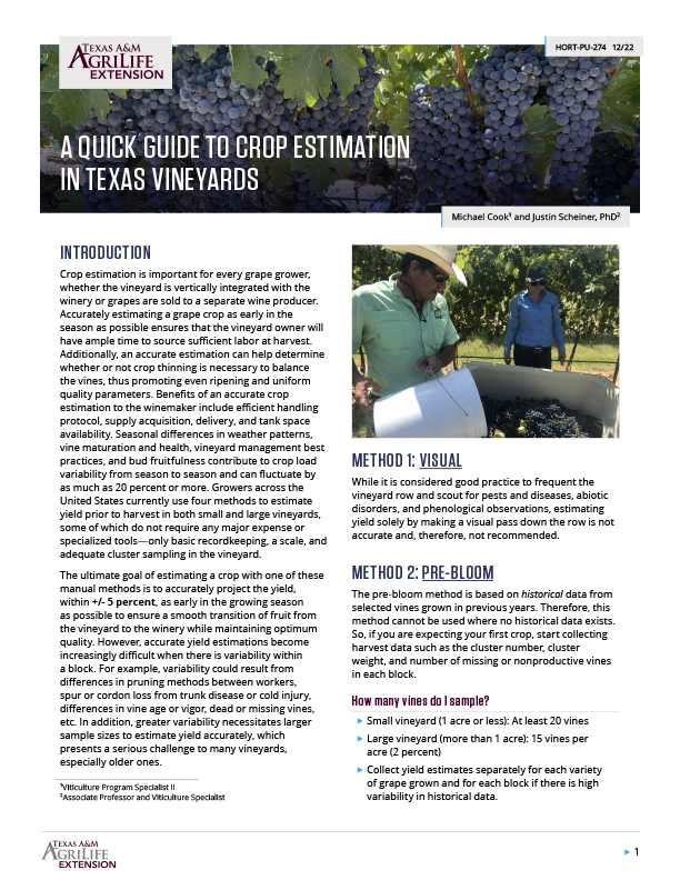 A Quick Guide to Crop Estimation in Texas Vineyards | Publications ...