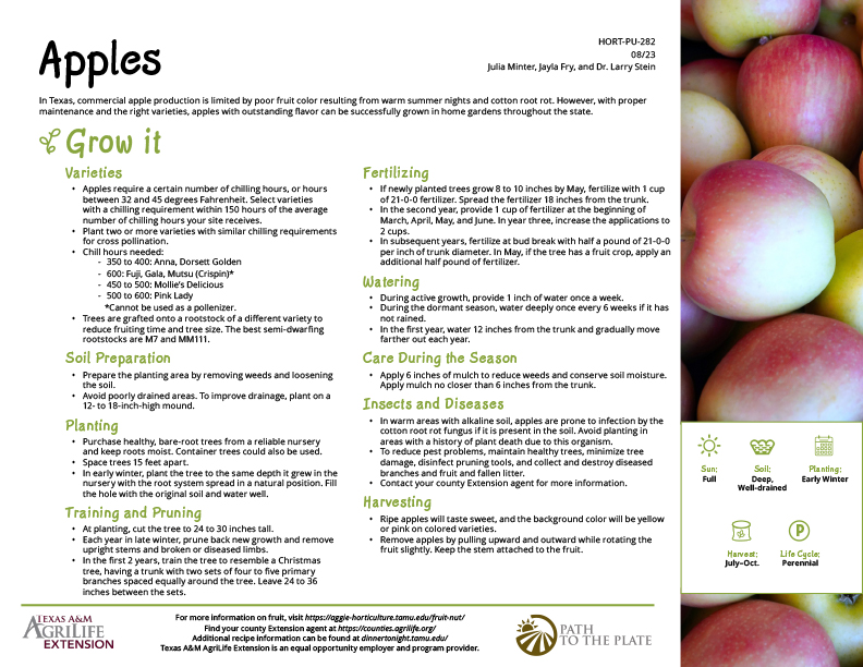 Path to the Plate: Apples | Publications | AgriLife Learn
